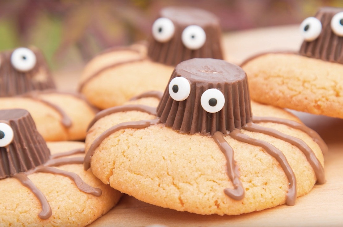 reese-spider-8 - Steve's Kitchen